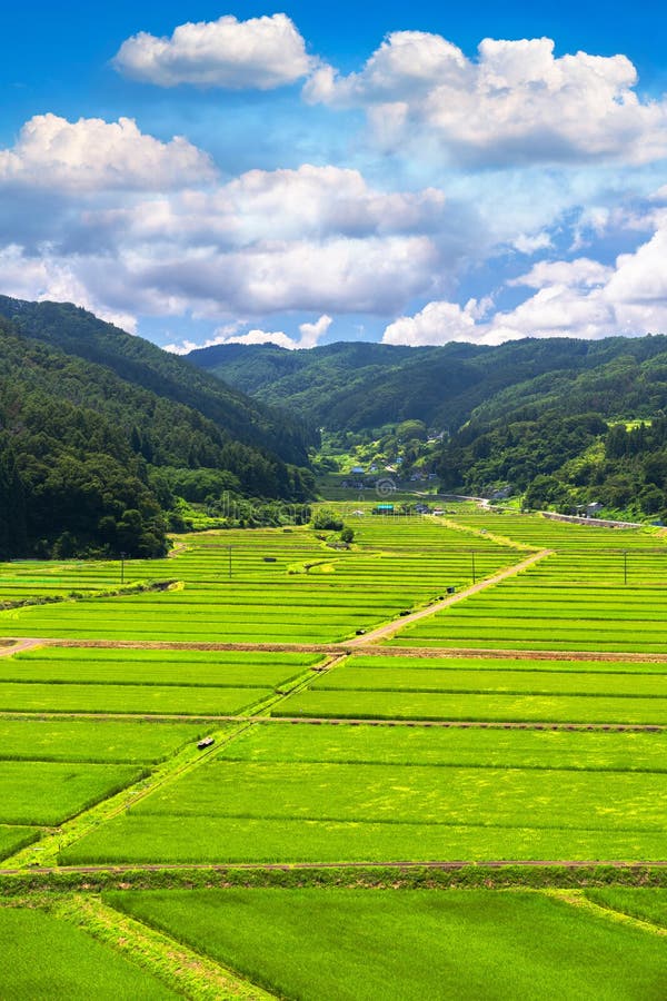Rural Nagano, Japan Rice Terraces Stock Image - Image of tourism ...