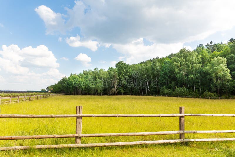 Rural nature stock photo. Image of culture, plants, fresh - 55957964