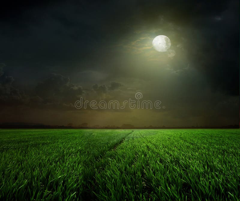 Rural night with moon stock photo. Image of beauty, backgrounds - 27457582