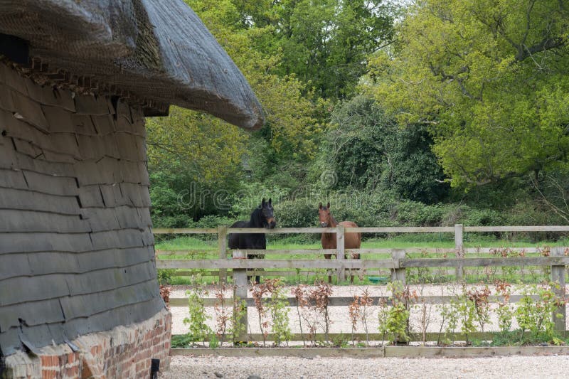 Rural Old Thatched Barn with Horse Paddock Stock Image - Image of wind ...
