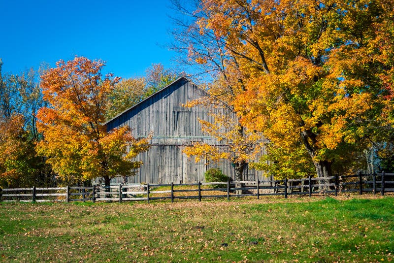 Rural Ontario in the fall stock image. Image of orange - 109555547