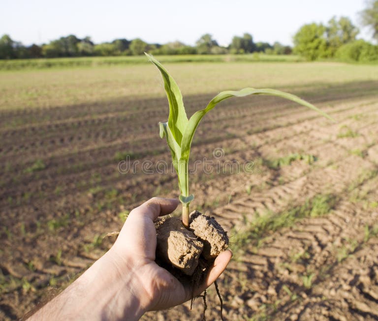 Rural operations stock photo. Image of crops, countryside - 5360984