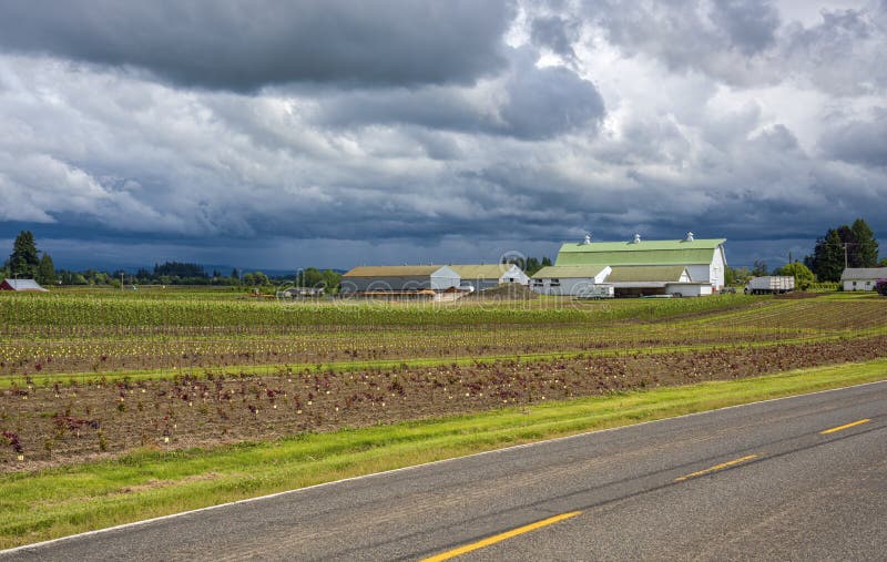 Rural Oregon Landscape and Stormy Weather Stock Photo - Image of ...