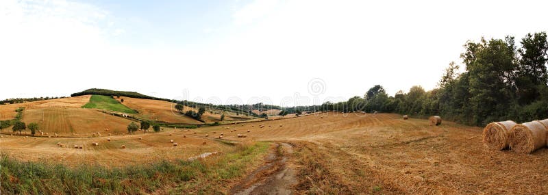 Rural Panorama Landscape with Sunrise and Blossoming Meadow Stock Photo ...