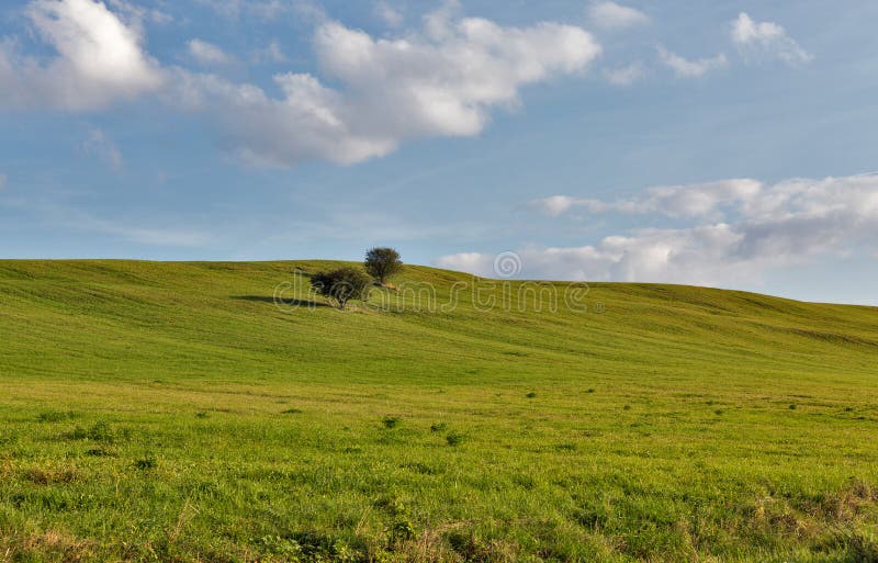 Rural pasture landscape stock image. Image of agriculture - 114008895