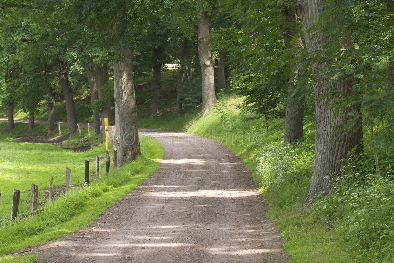Rural Path Enclosed with Lath Fence at Summer Stock Image - Image of ...