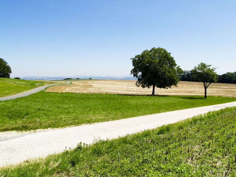 Rural Path Picture. Image: 3804935