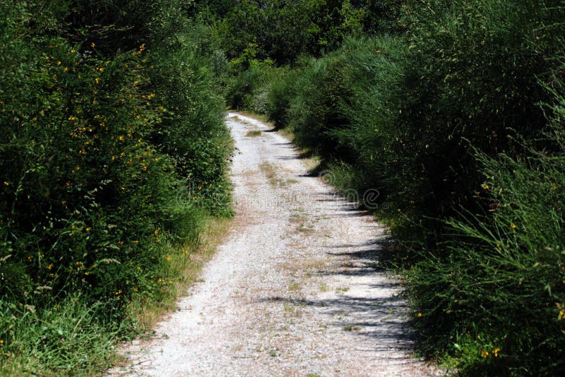Rural path stock image. Image of rural, trekking, countryside - 55182059