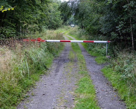 Rural Path through Forest with Red and White Barrier Stock Photo ...