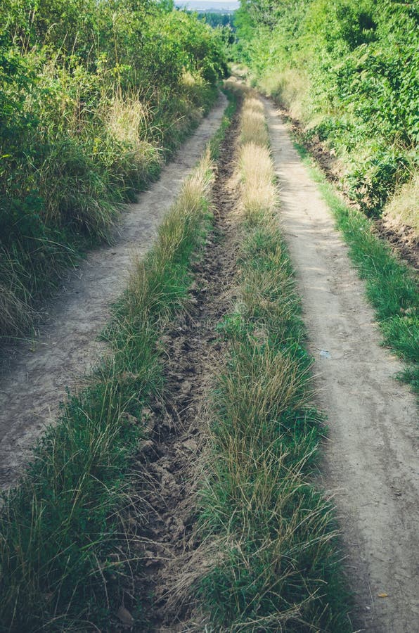 Rural path in green nature stock image. Image of branch - 179191663