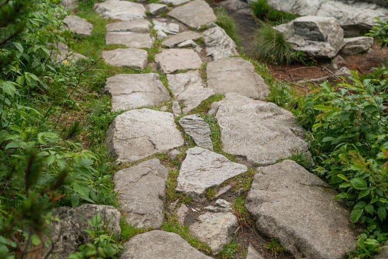 A Path Lined with Large Stones of Different Shapes Stock Image - Image ...