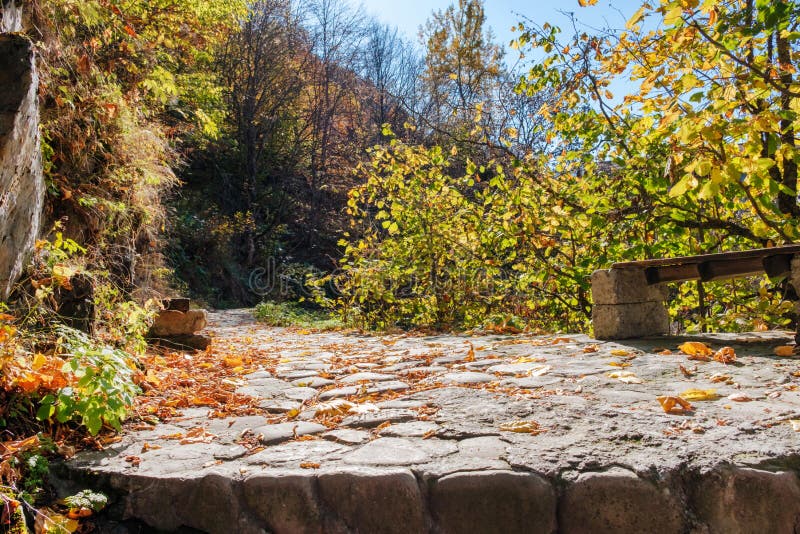 Rural path made of stones stock photo. Image of nature - 162866626