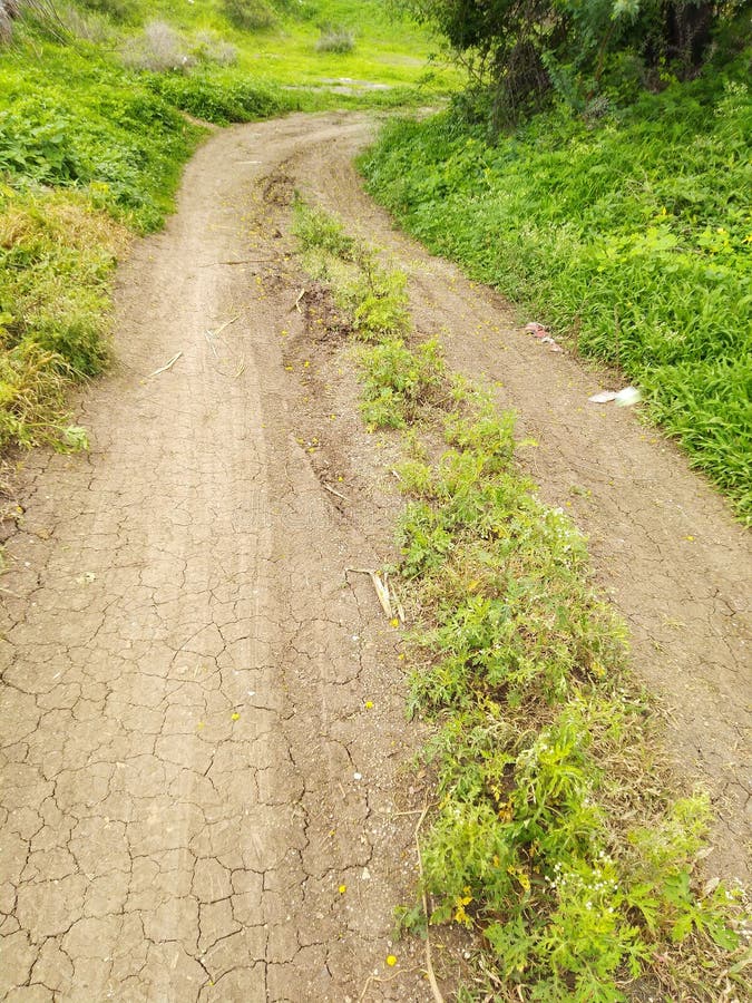 The Rural Path during Monsoon. Stock Image - Image of brown, growing ...
