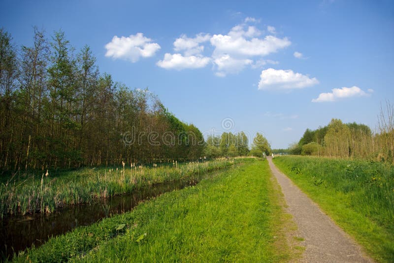 Rural Path Next To River and Forest Stock Photo - Image of rural ...