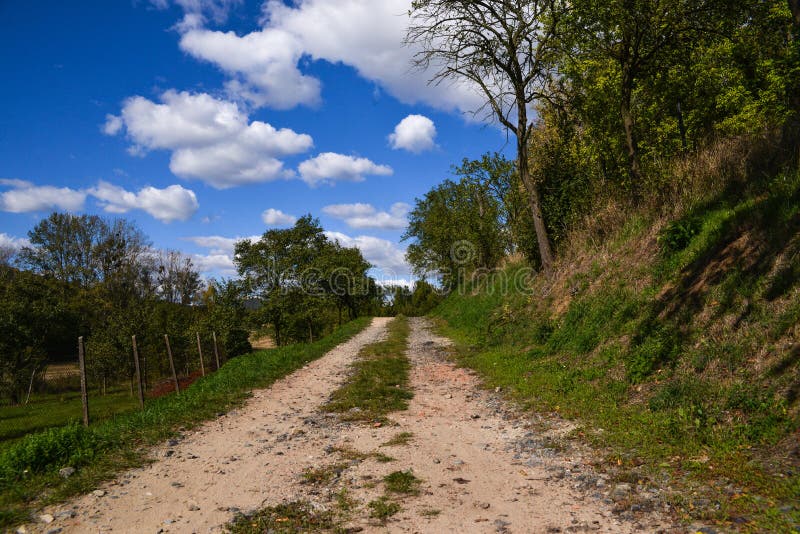 Rural Path between Trees and Blue Sky with White Clouds Stock Photo ...