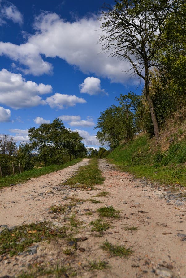 Rural Path between Trees and Blue Sky with White Clouds Stock Photo ...