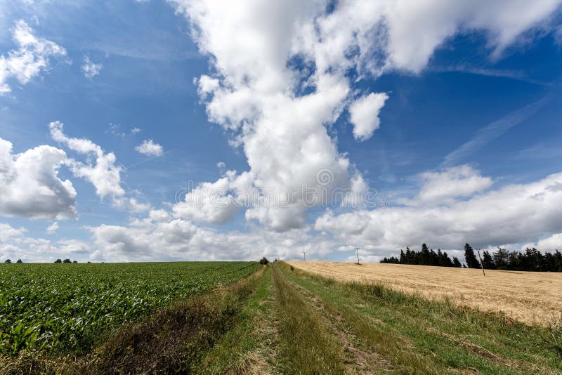 Rural Path with Trees Next To Meadows Stock Photo - Image of land ...