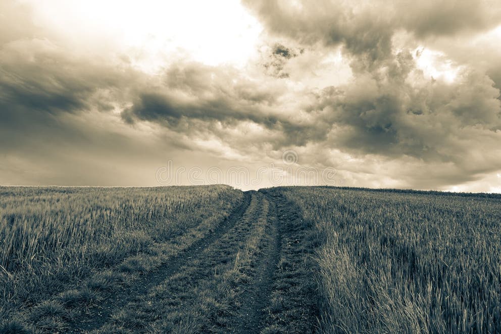 Rural Path Under Dramatic Cloudy Sky in Sepia. Stock Photo - Image of horizon, scenic: 374036554
