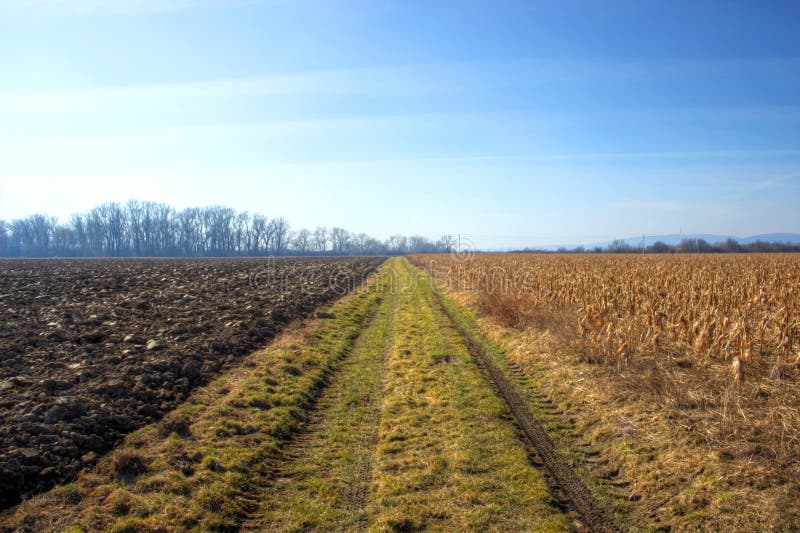 Rural Pathway through Field Stock Image - Image of dirty, field: 51332543