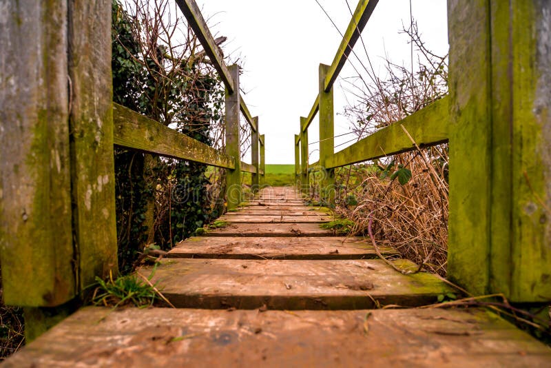 Rural Pathway in Woodend - Uk Stock Image - Image of foggy, midlands ...