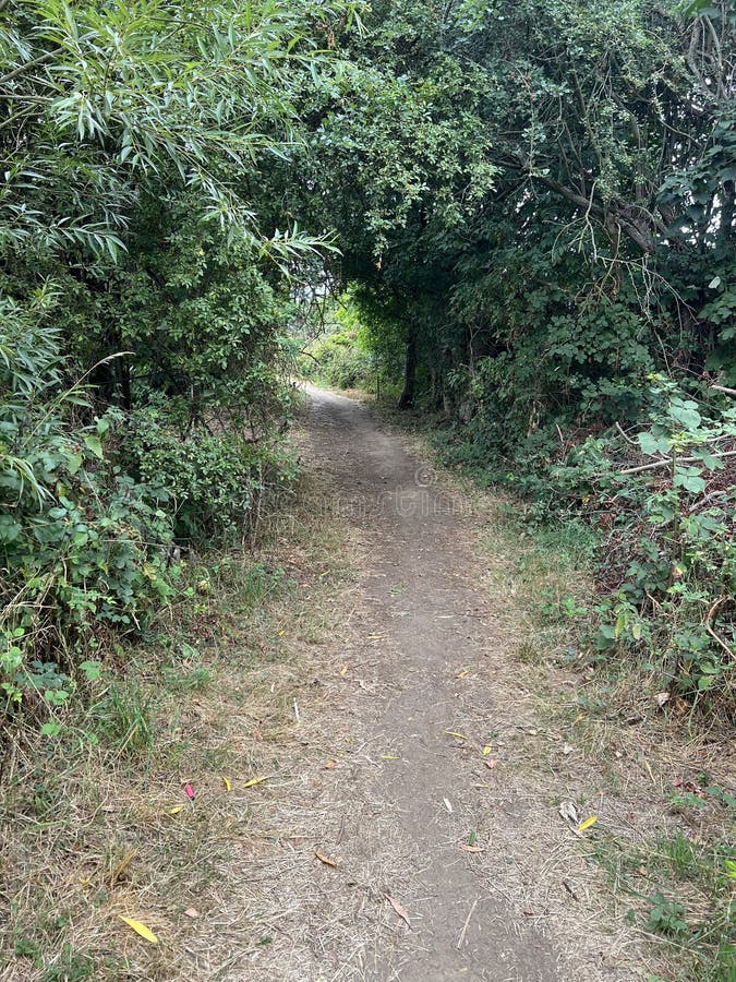 Rural pathways stock image. Image of flower, england - 252743413