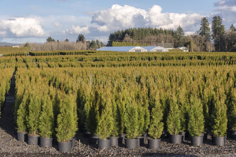Rural Plant Farm Oregon State. Stock Image - Image of telephone, water ...