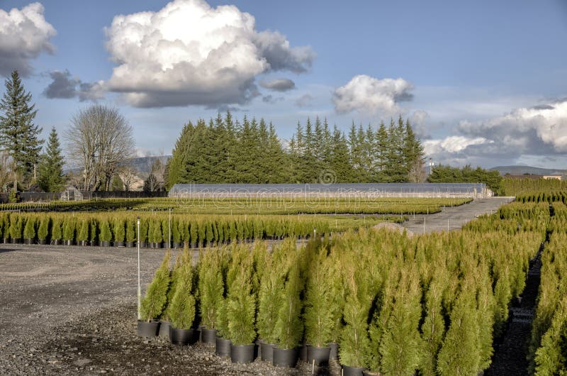 Rural Plant Farm Oregon State. Stock Image - Image of pots, clouds ...