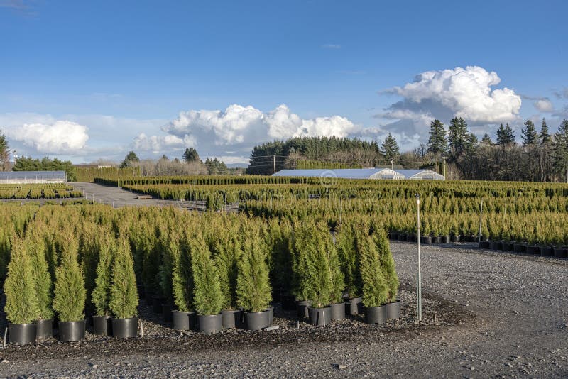 Rural Plant Farm Oregon State Stock Photo - Image of pots, fences ...