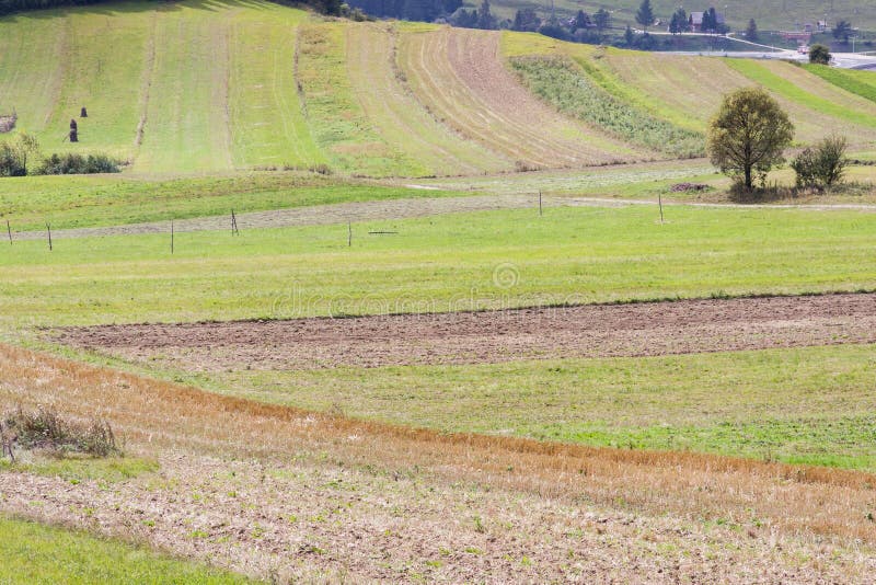 Rural - Poland. stock photo. Image of autumn, carpathians - 36259972