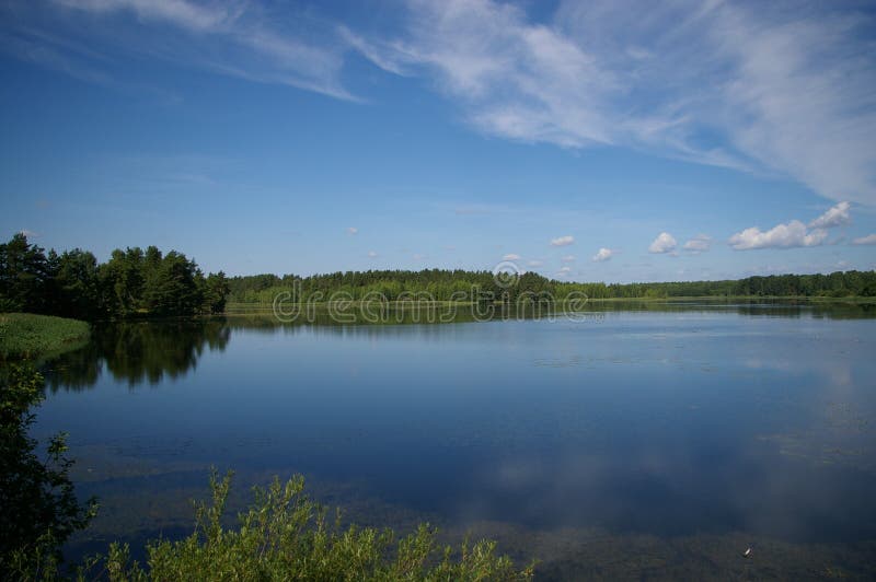 Rural pond stock photo. Image of green, summer, blue - 12755422