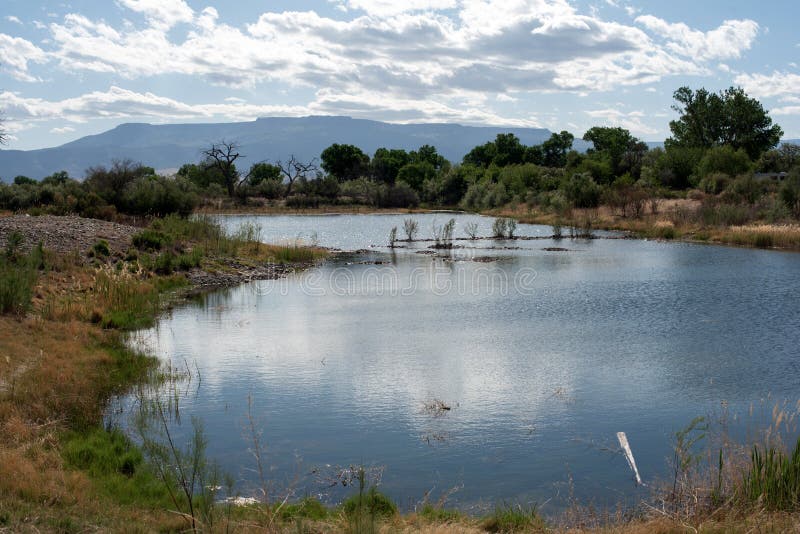 Rural Pond with Distant Mountains in Summer Stock Photo - Image of ...