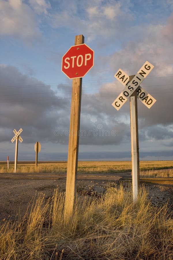 Rural Stop Sign Intersection Stock Photo - Image of wooded, asphalt ...