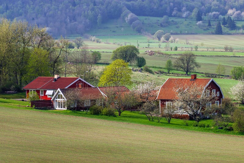 Rural Residents in the Swedish Countryside Stock Image - Image of tree ...