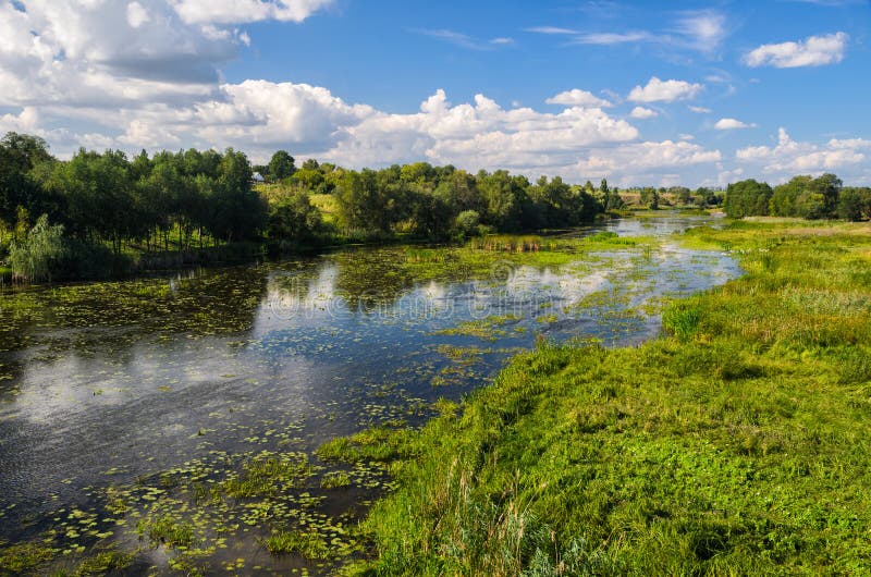 Rural river landscape stock photo. Image of aquatic, park - 53966320
