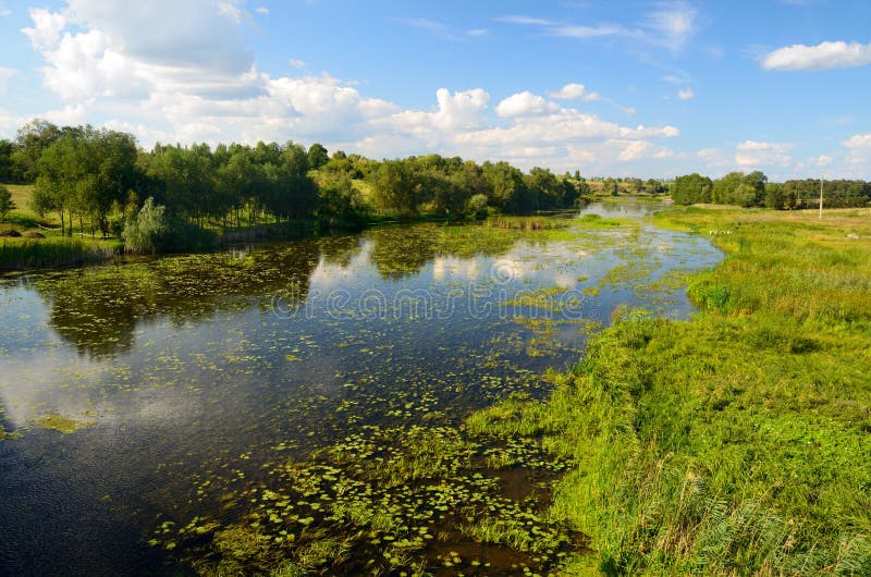 Rural river landscape stock image. Image of marsh, conservation - 53966357