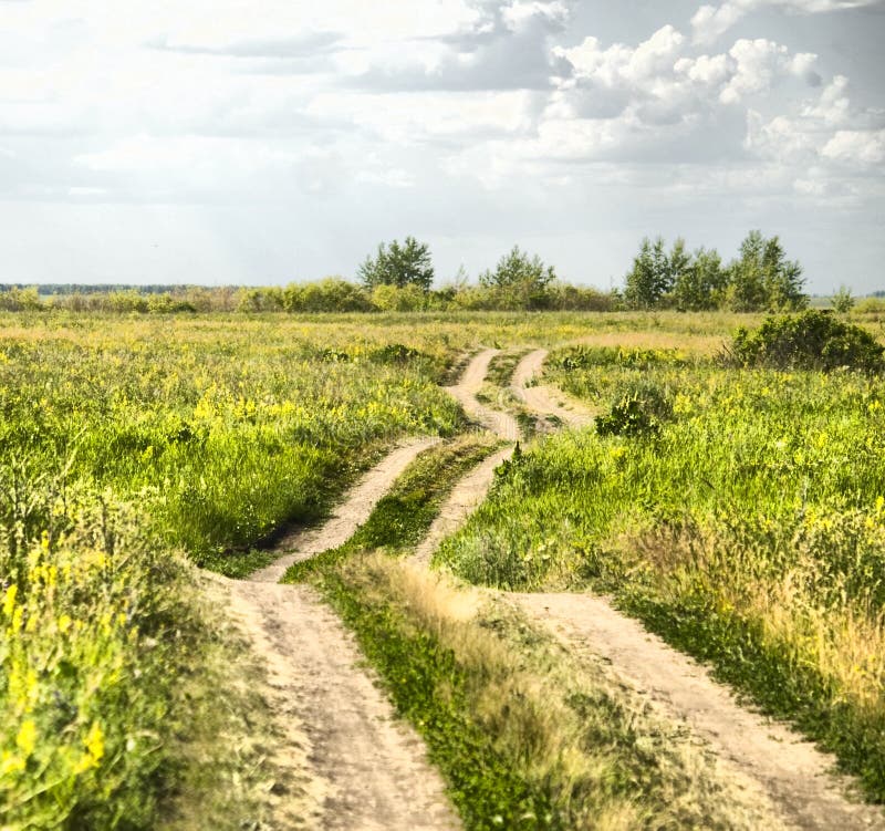 Rural road stock photo. Image of hill, sunny, tree, forest - 10104308