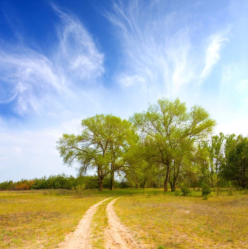 Rural road stock photo. Image of park, pasture, meadow - 10584532