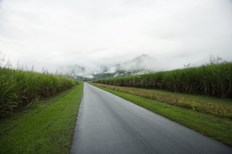 Rural Road stock image. Image of empty, cloudy, field - 12987381