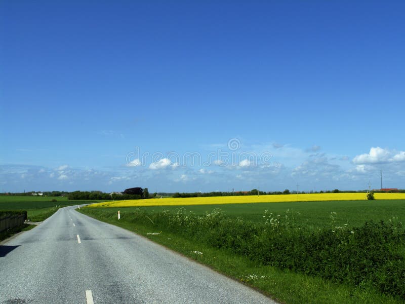 Rural road stock photo. Image of fields, jutland, horizon - 135188