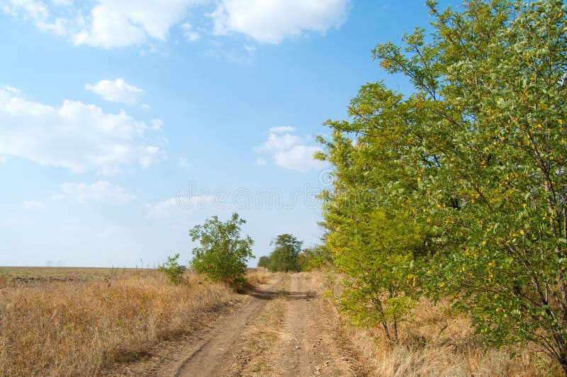 Rural road stock image. Image of beautiful, autumn, bright - 14671277