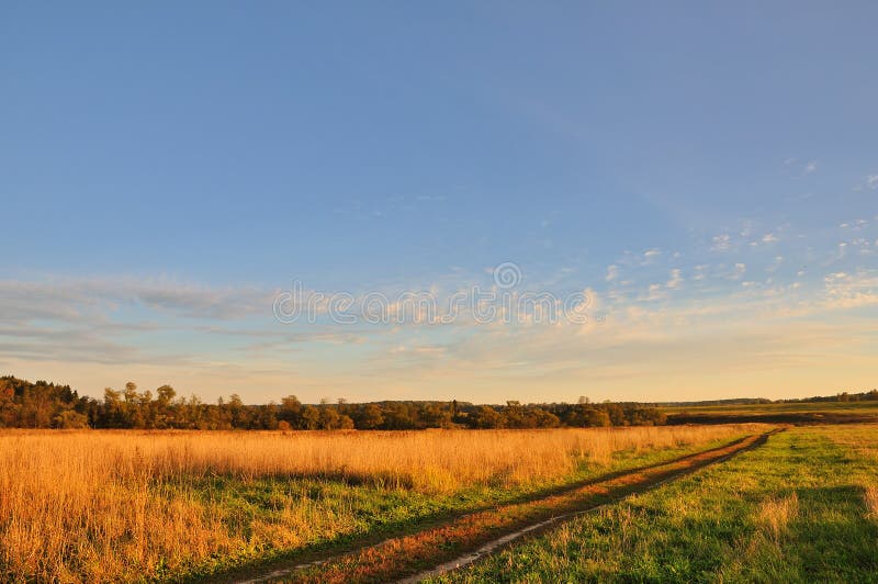 Rural road stock image. Image of scenic, rural, foliage - 18169719