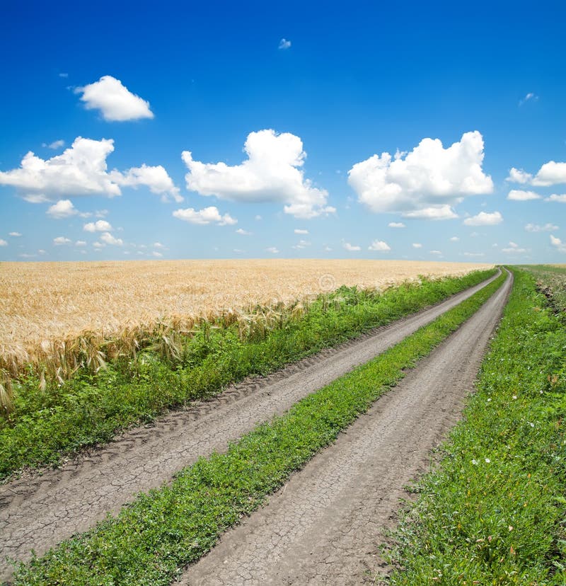 Rural road stock photo. Image of countryside, ecology - 18250378