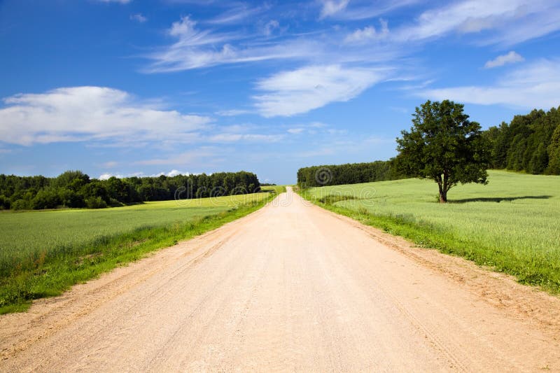 Rural road stock photo. Image of infinity, nature, asphalt - 20426686