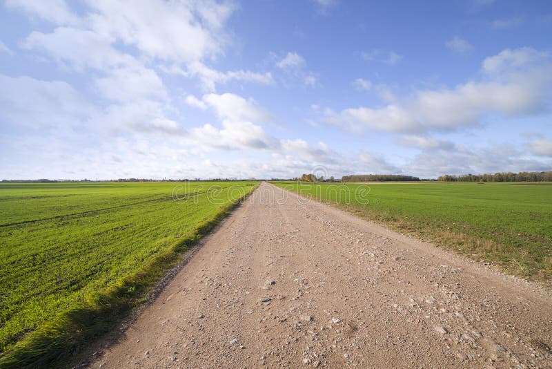 Rural road. stock photo. Image of heaven, wheat, road - 21536974