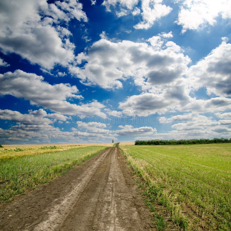Rural road stock photo. Image of overcast, horizon, black - 20023282