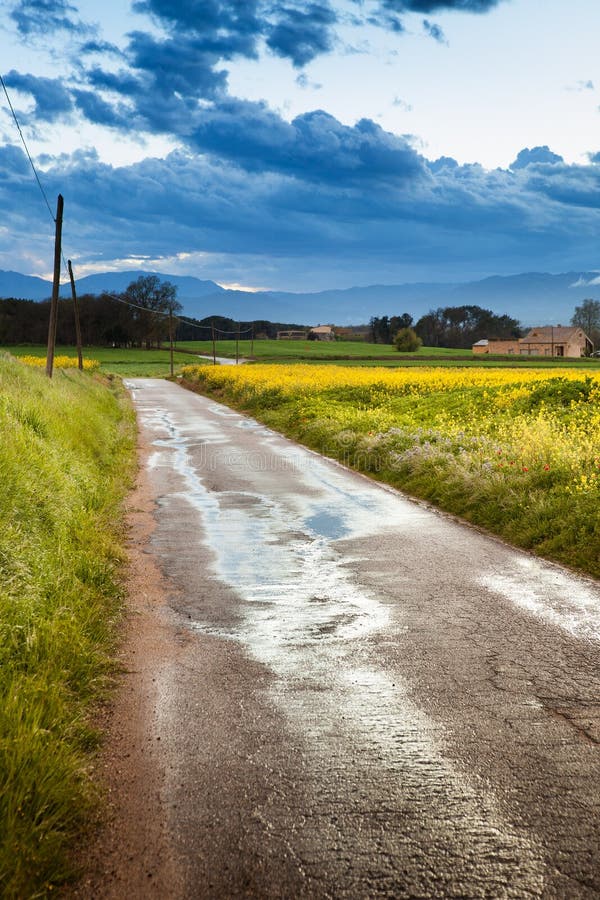 Rural road stock photo. Image of cloudy, spring, roadside - 24743112