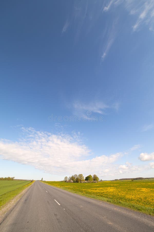 Rural road. stock image. Image of landscape, road, horizon - 24799547