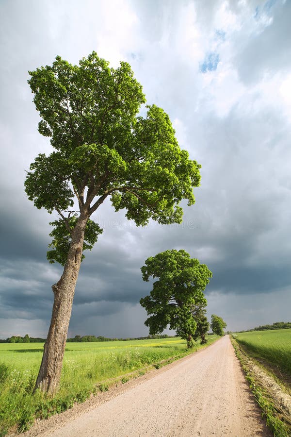 Rural road. stock image. Image of land, outdoors, field - 25293463