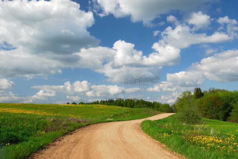 Rural road stock image. Image of trees, calm, nature, green - 2548975