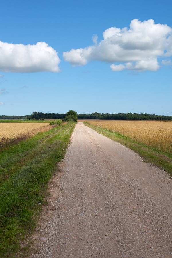 Rural road. stock image. Image of landscape, cloudscape - 25825947